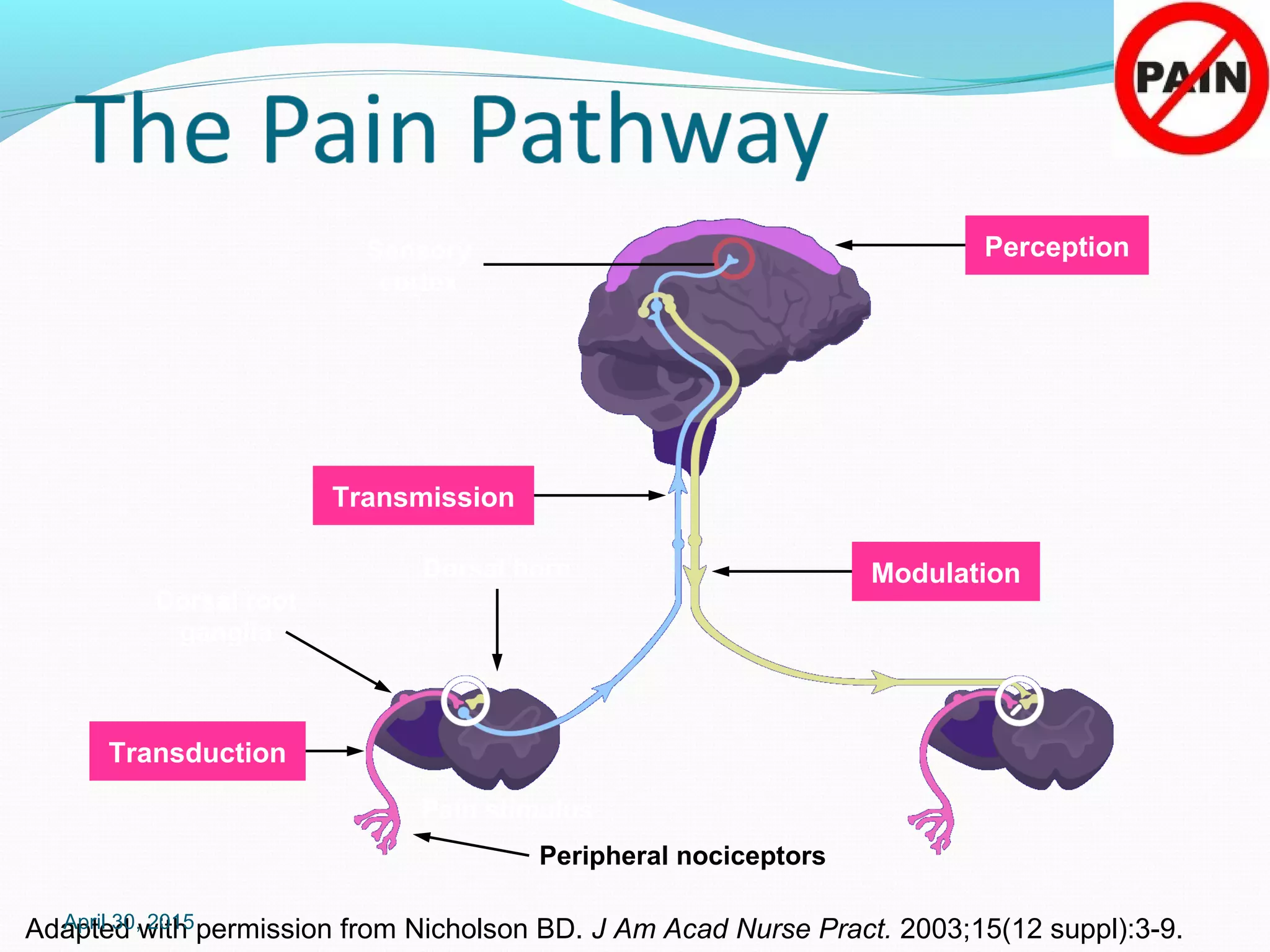 Hazem Sharaf Pain Pathophysiology | PPT