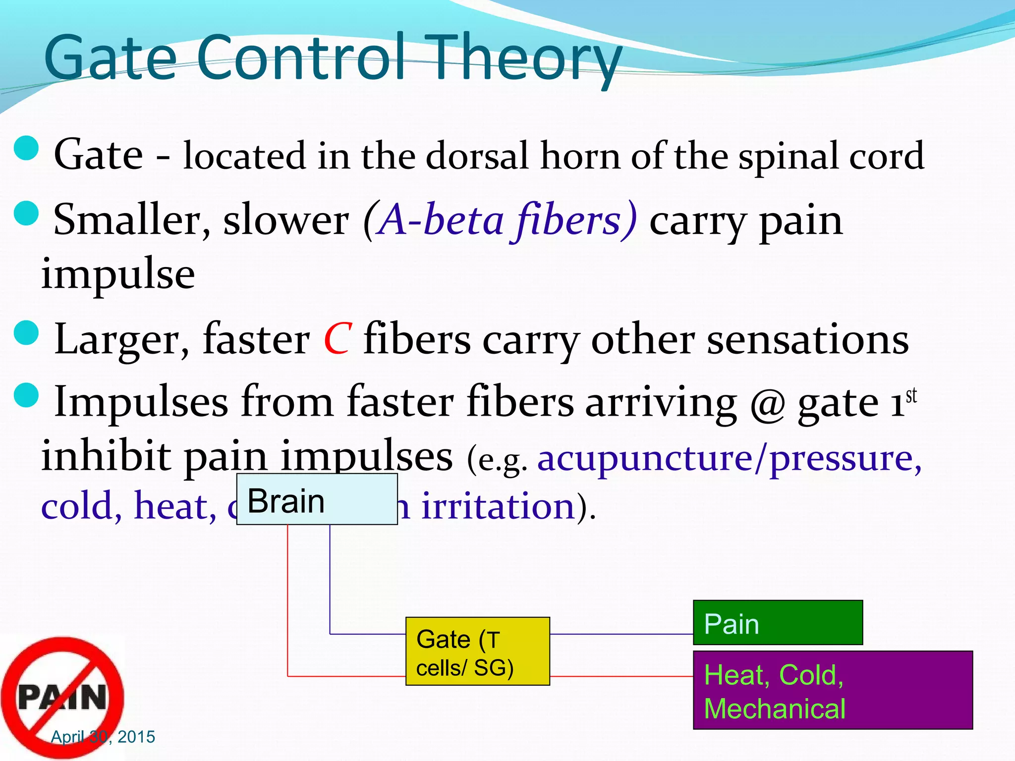 Hazem Sharaf Pain Pathophysiology | PPT