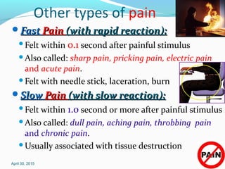 Hazem Sharaf Pain Pathophysiology | PPT