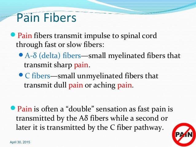 Hazem Sharaf Pain Pathophysiology
