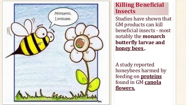 HAZARDS OF GENETICALLY MODIFIED FOOD – Nutrition And Food Technology