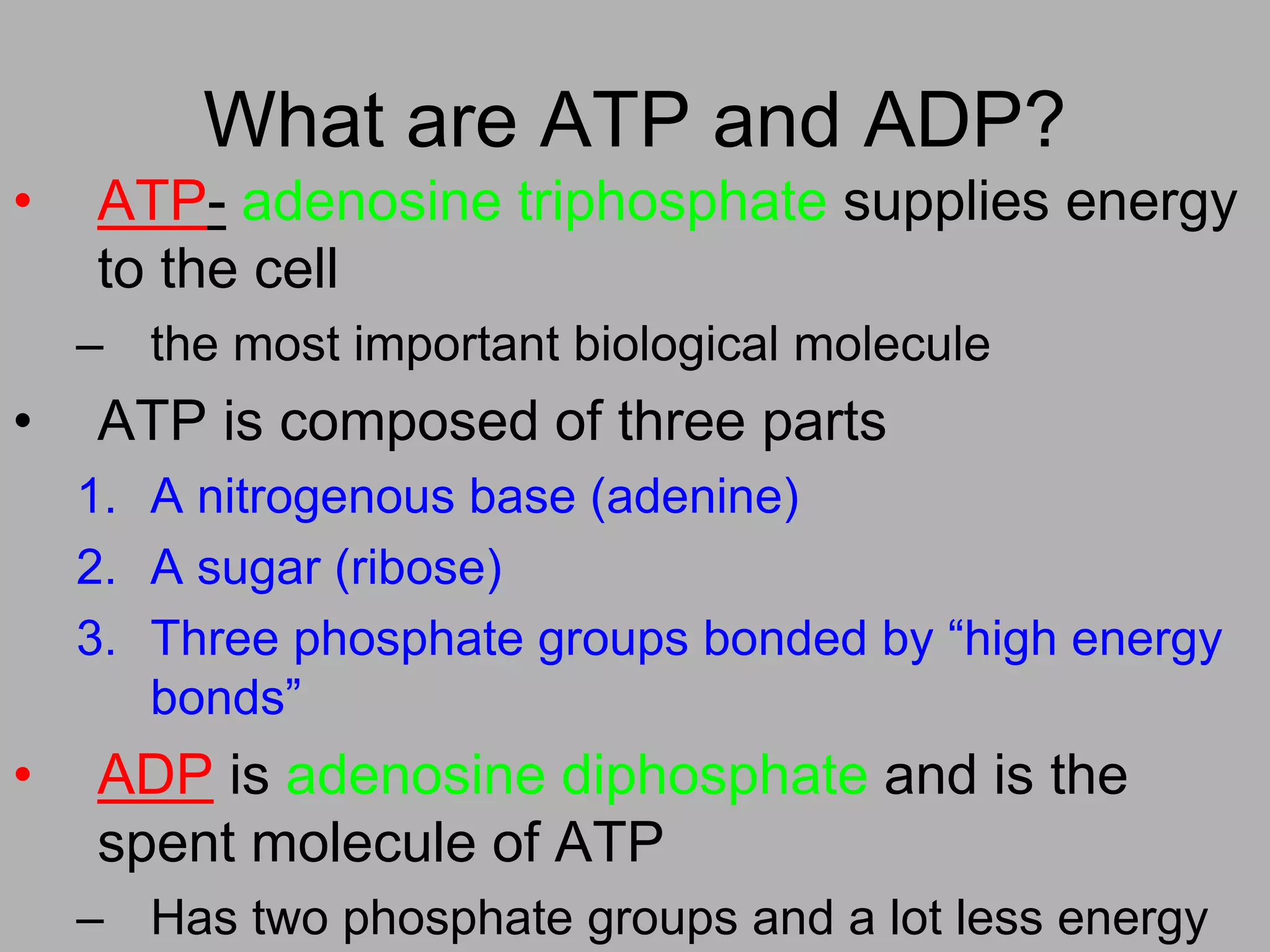HB 3.A.1 ATP and ADP Cycle.ppt