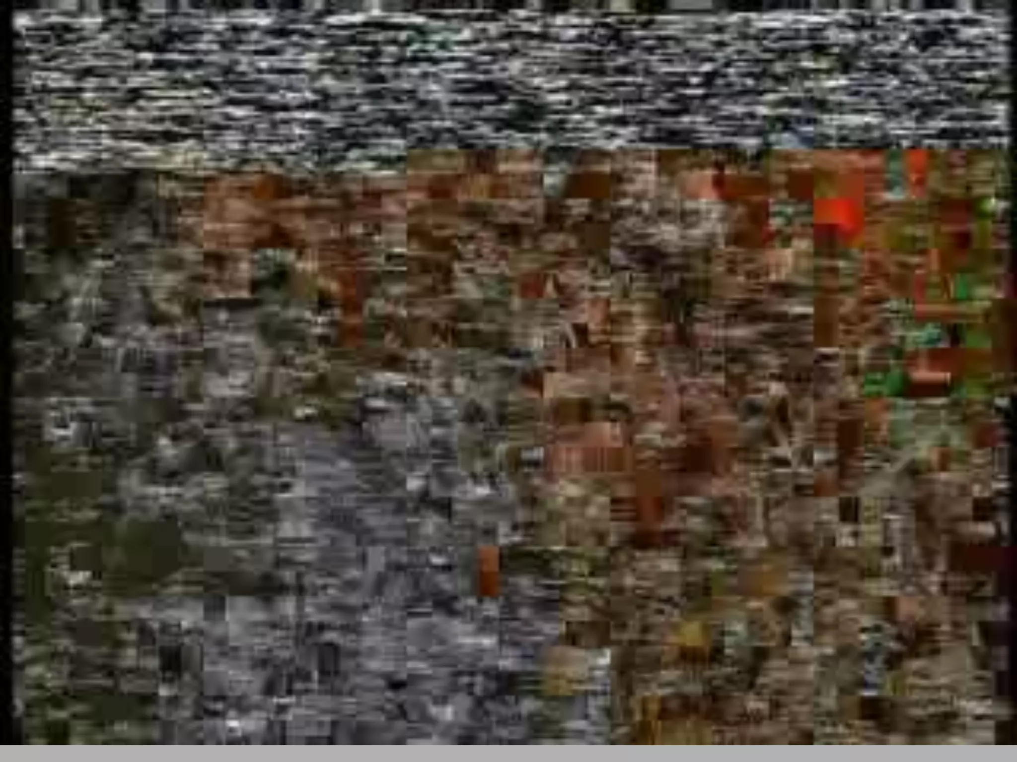 HB 3.A.1 ATP and ADP Cycle.ppt