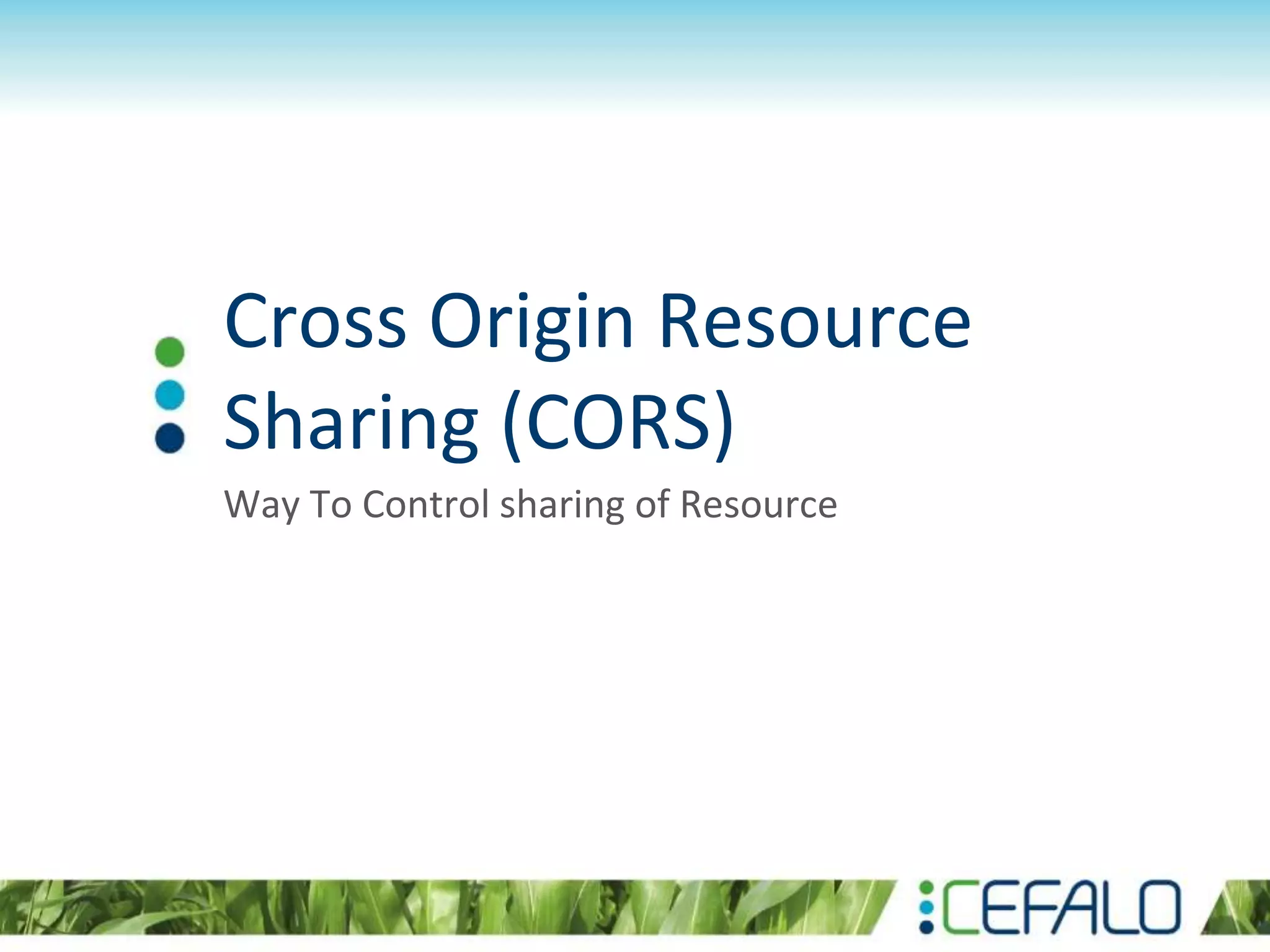 Cross-origin resource sharing | PPTX