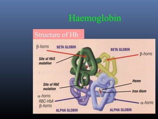 Hba1 c | PPT
