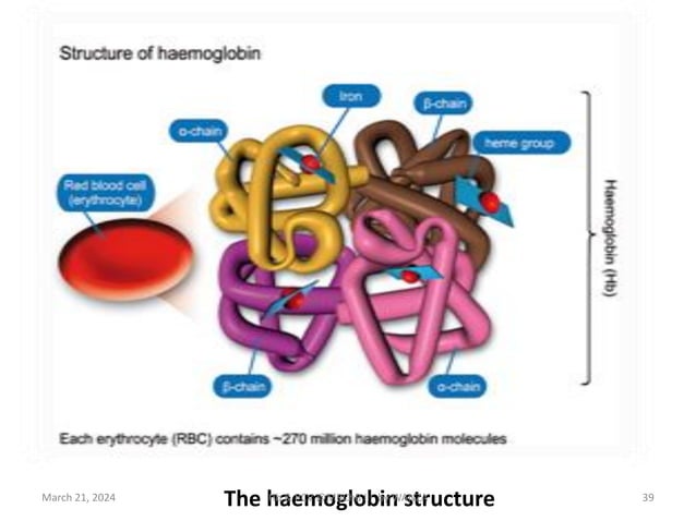 Hb and PCV estimation.for MBchB year III | PPT