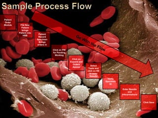 Hbb powerpoint | PPT