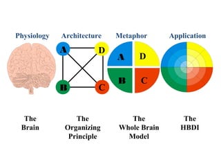 HBDI - Thinking Style Preferences | PPT