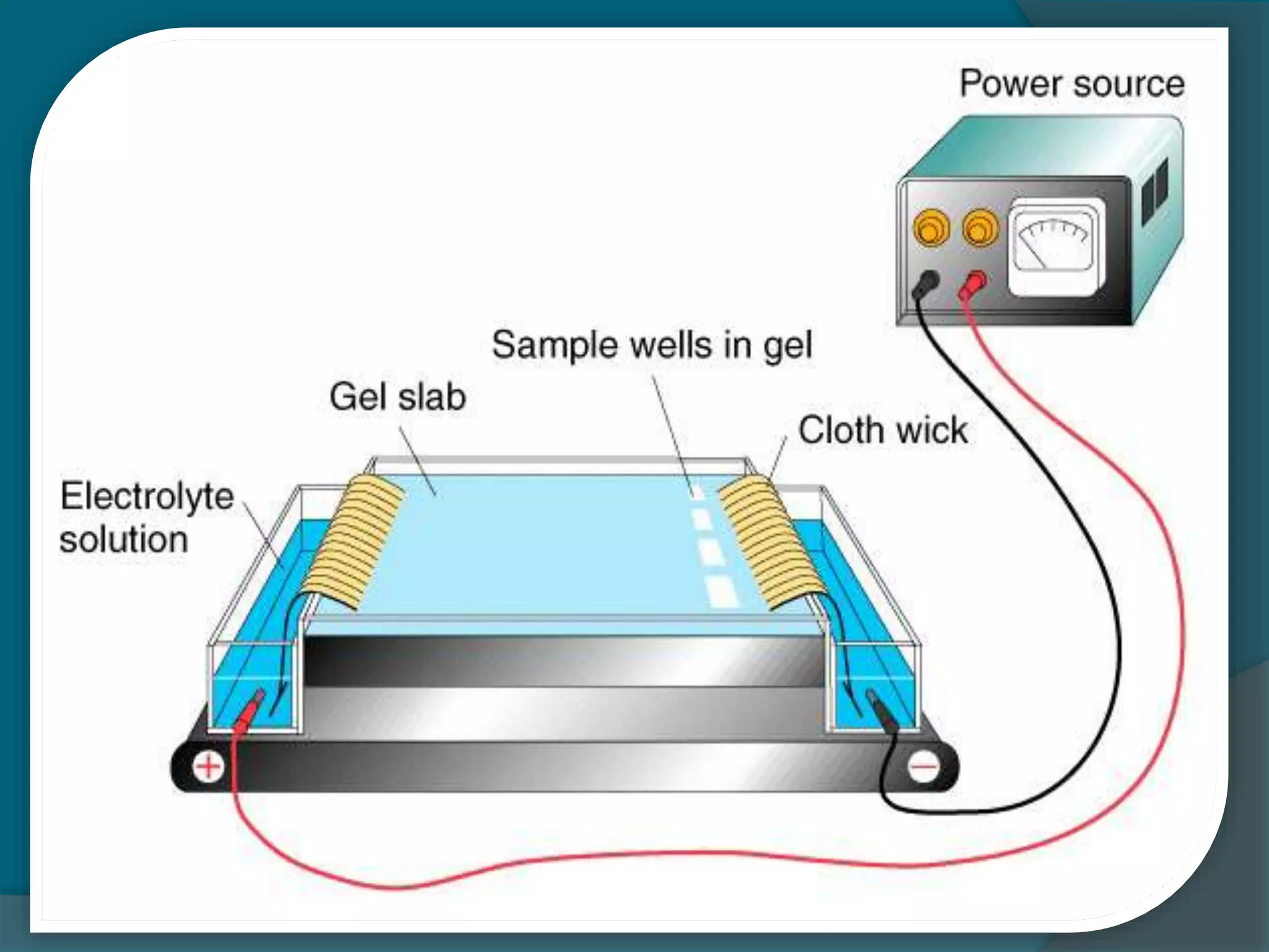 Hb electrophoresis (principle materials and procedure) | PPTX