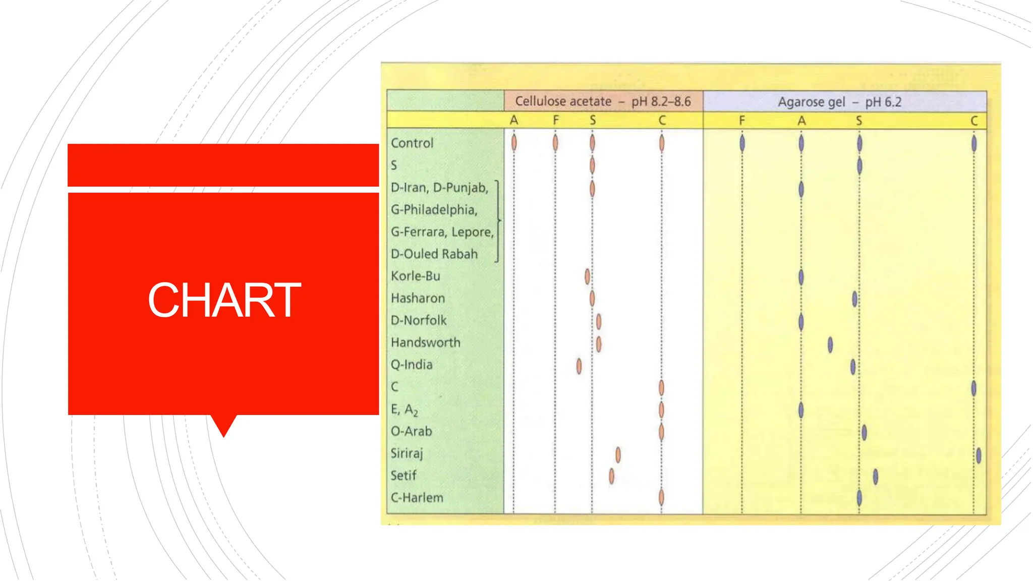 Hb electrophoresis- Types, Procedure and Analysis | PPTX