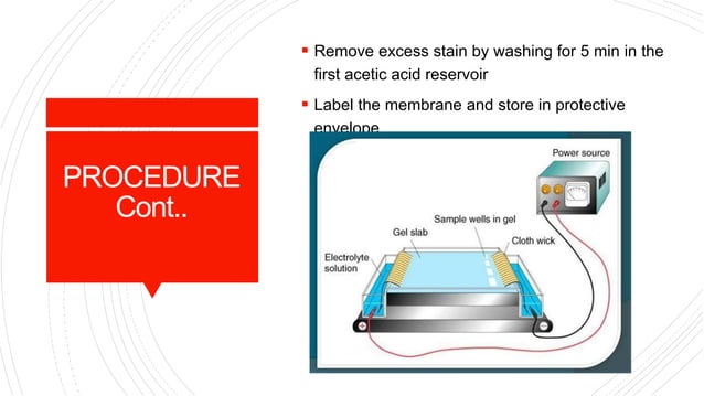 Hb electrophoresis- Types, Procedure and Analysis | PPTX | Blood ...