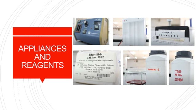 Hb electrophoresis- Types, Procedure and Analysis | PPTX | Blood ...