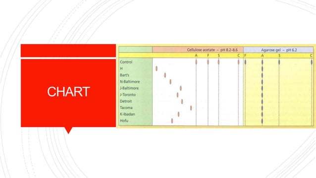 Hb electrophoresis- Types, Procedure and Analysis | PPTX | Blood ...