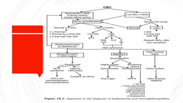 Hb electrophoresis- Types, Procedure and Analysis | PPTX | Blood ...