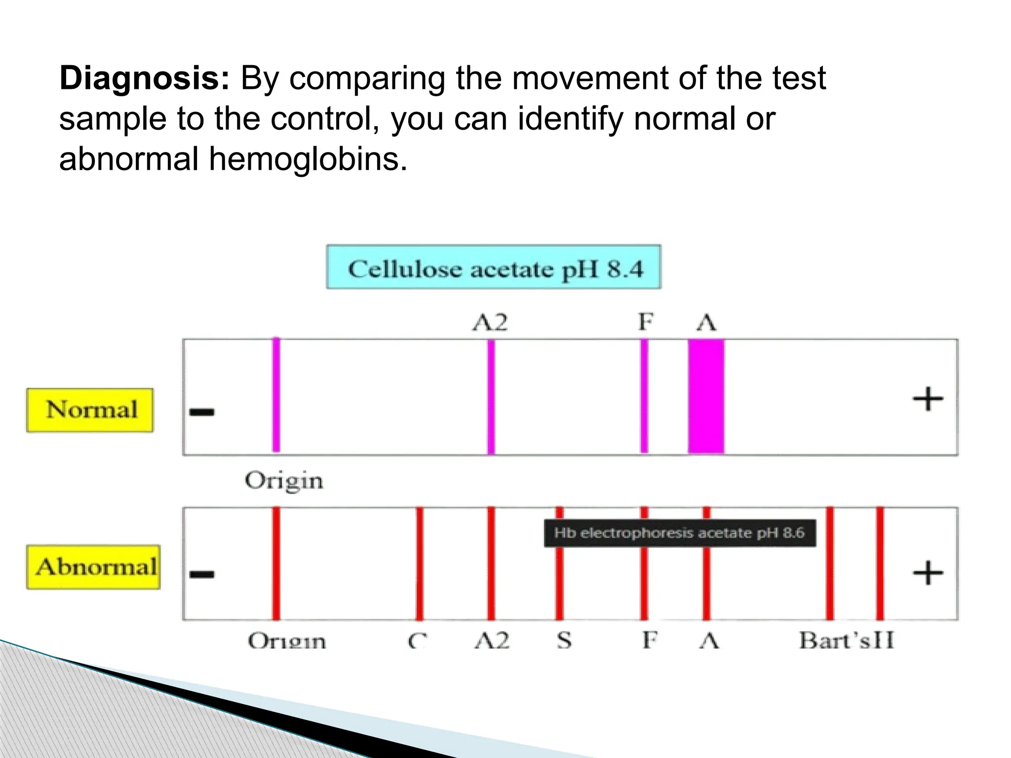 Hb electrophoresis and its types, principle , procedure | PPTX