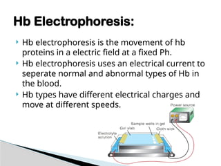 Hb electrophoresis and its types, principle , procedure | PPTX