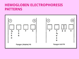 Haemoglobin Electrophoresis for Hb disorders | PPTX