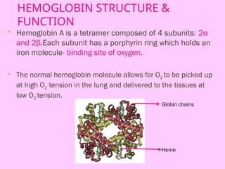 Haemoglobin Electrophoresis for Hb disorders | PPTX