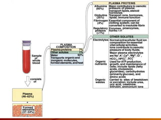 HB estimation.ppt | Blood Disorders | Diseases and Conditions