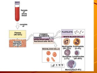 HB estimation.ppt | Blood Disorders | Diseases and Conditions