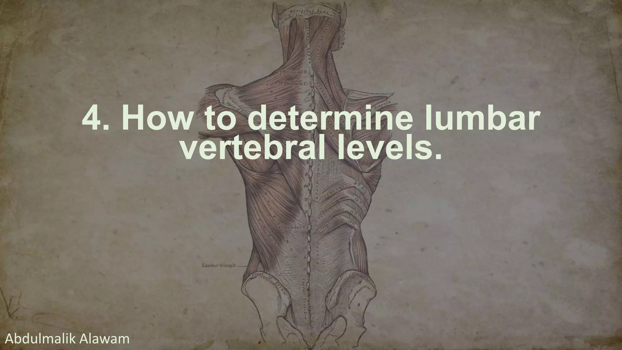 Surface Anatomy of the abdominal viscera and abdominal regions. | PPTX