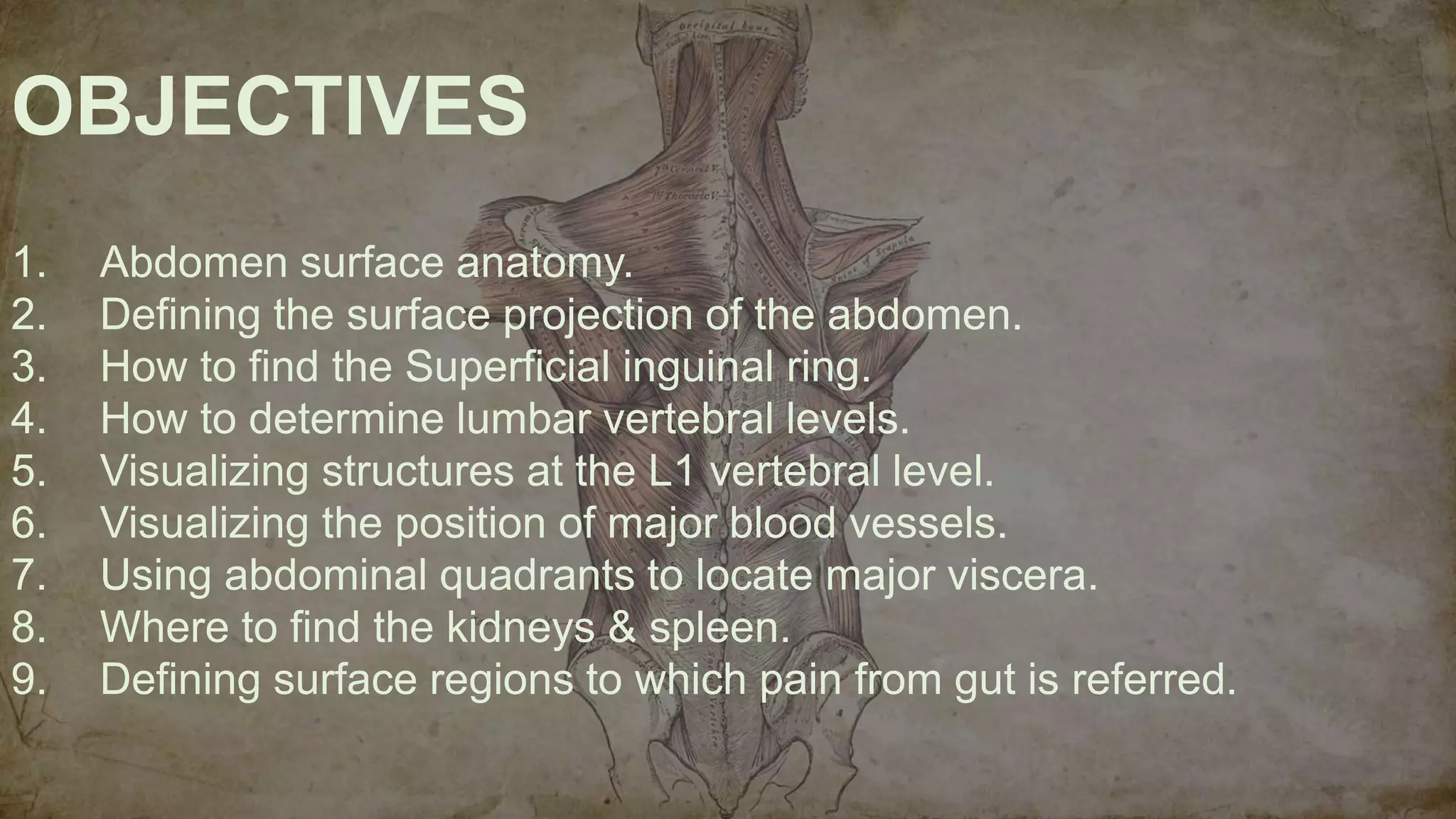 Surface Anatomy of the abdominal viscera and abdominal regions. | PPTX