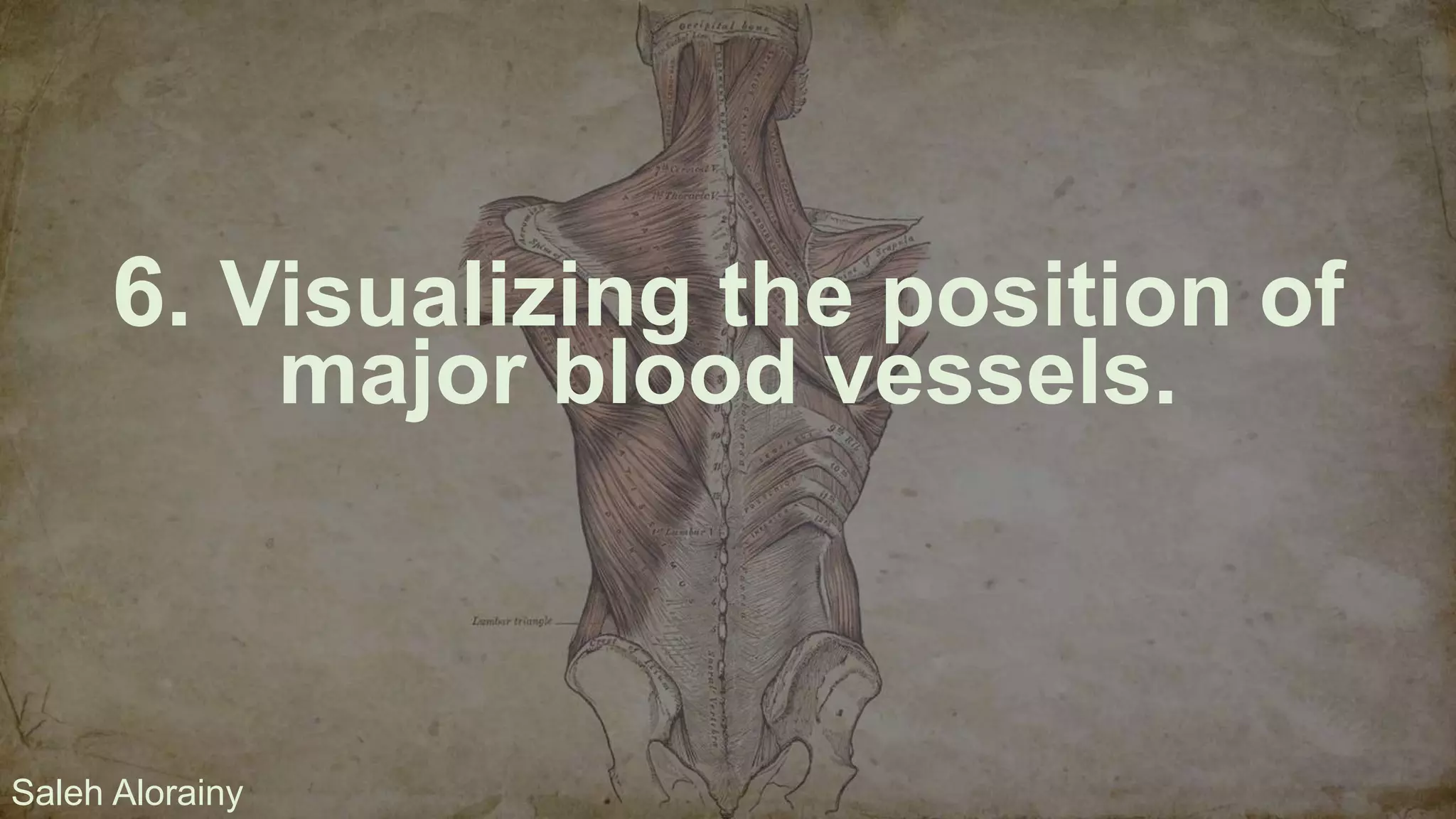 Surface Anatomy of the abdominal viscera and abdominal regions. | PPTX