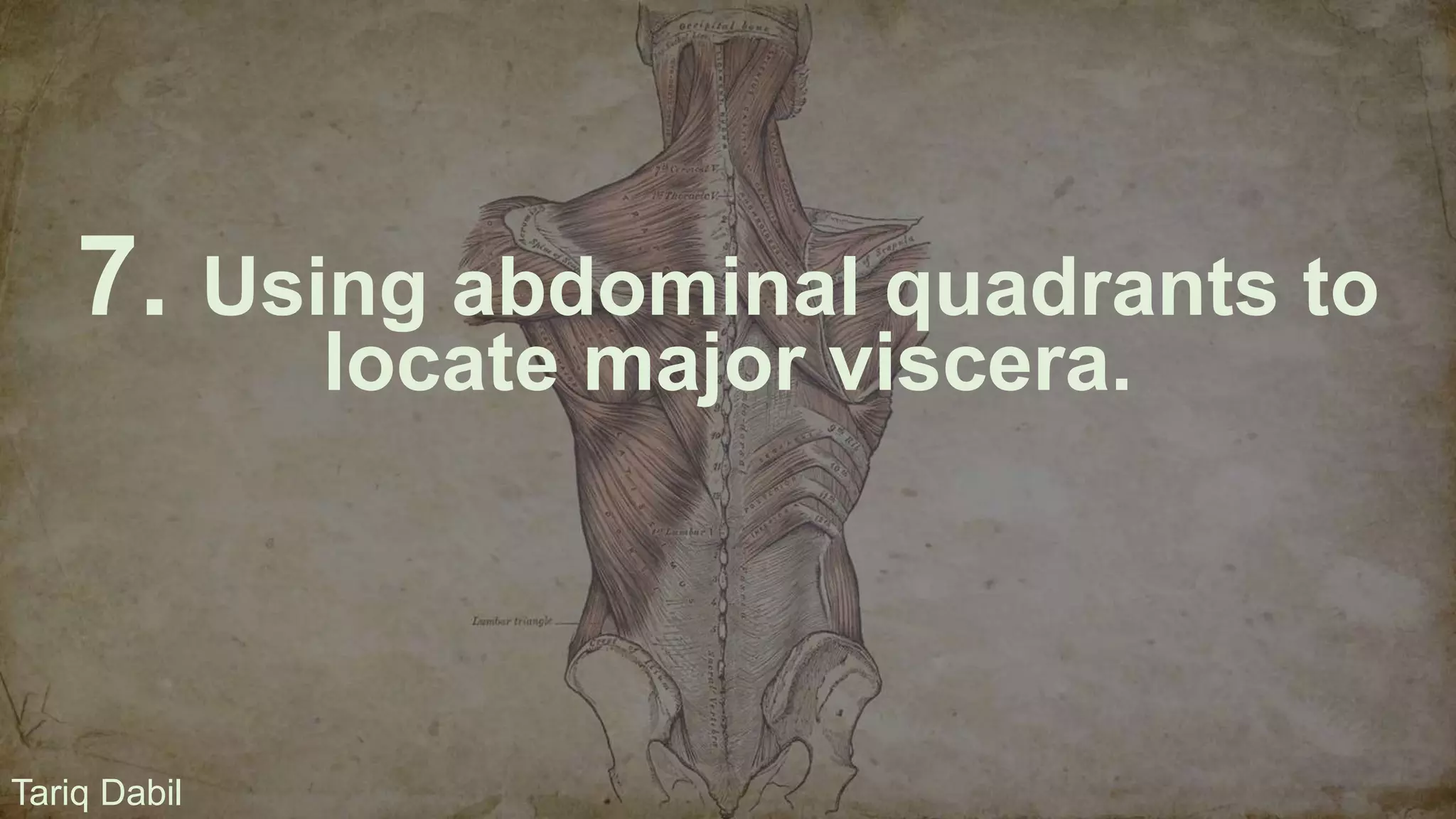 Surface Anatomy of the abdominal viscera and abdominal regions. | PPTX