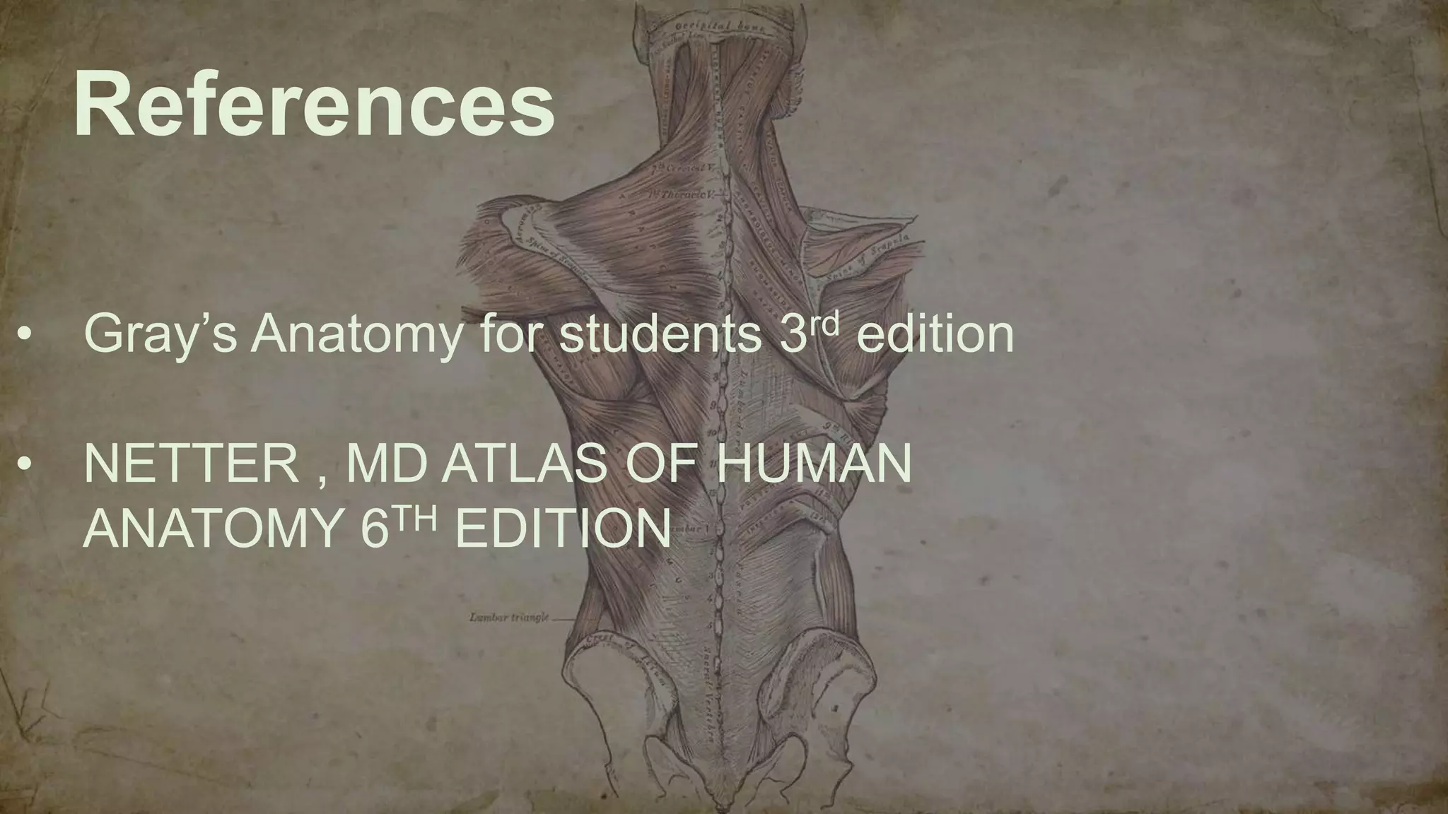 Surface Anatomy of the abdominal viscera and abdominal regions. | PPTX