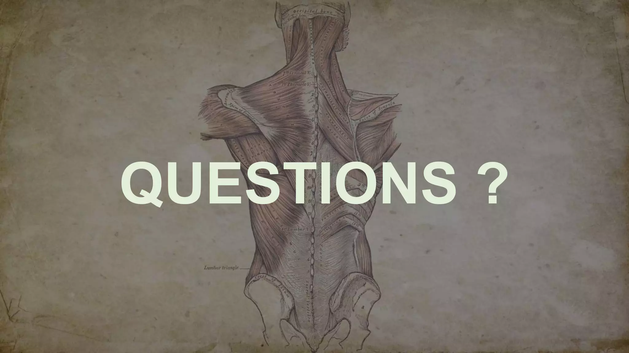 Surface Anatomy of the abdominal viscera and abdominal regions. | PPTX