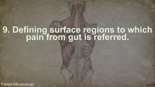 Surface Anatomy of the abdominal viscera and abdominal regions. | PPTX