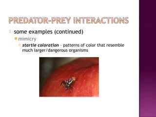 biology - community interactions | PPT