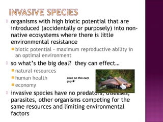 biology - community interactions | PPT