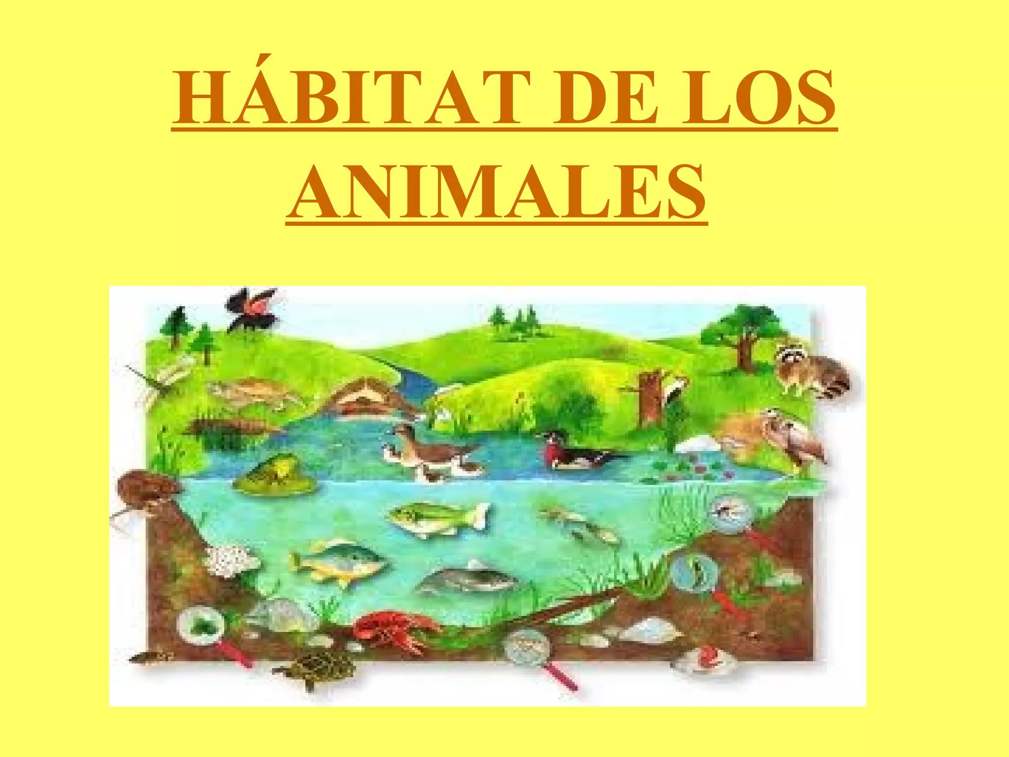 Hábitat de los animales | PPT