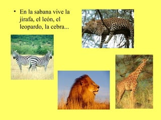 Hábitat de los animales | PPT