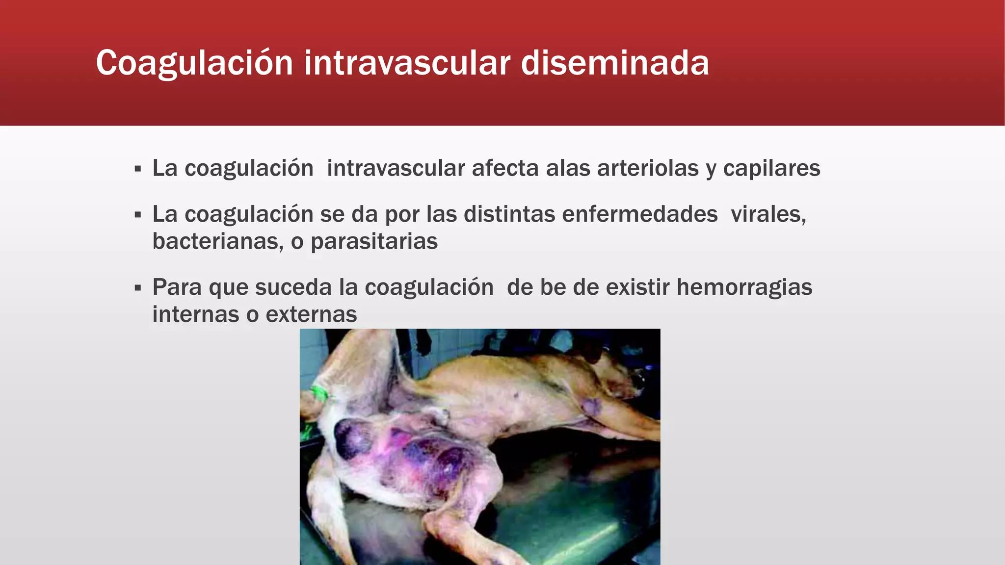 Patologia de arterias, venas y vasos linfaticos | PPTX