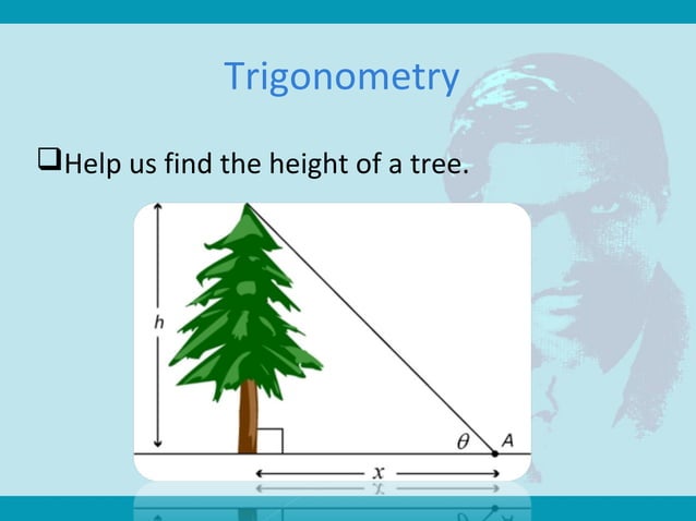 Mathematics in real life | PPT | Science