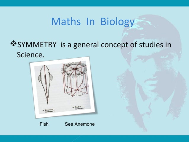 Mathematics in real life | PPT | Science