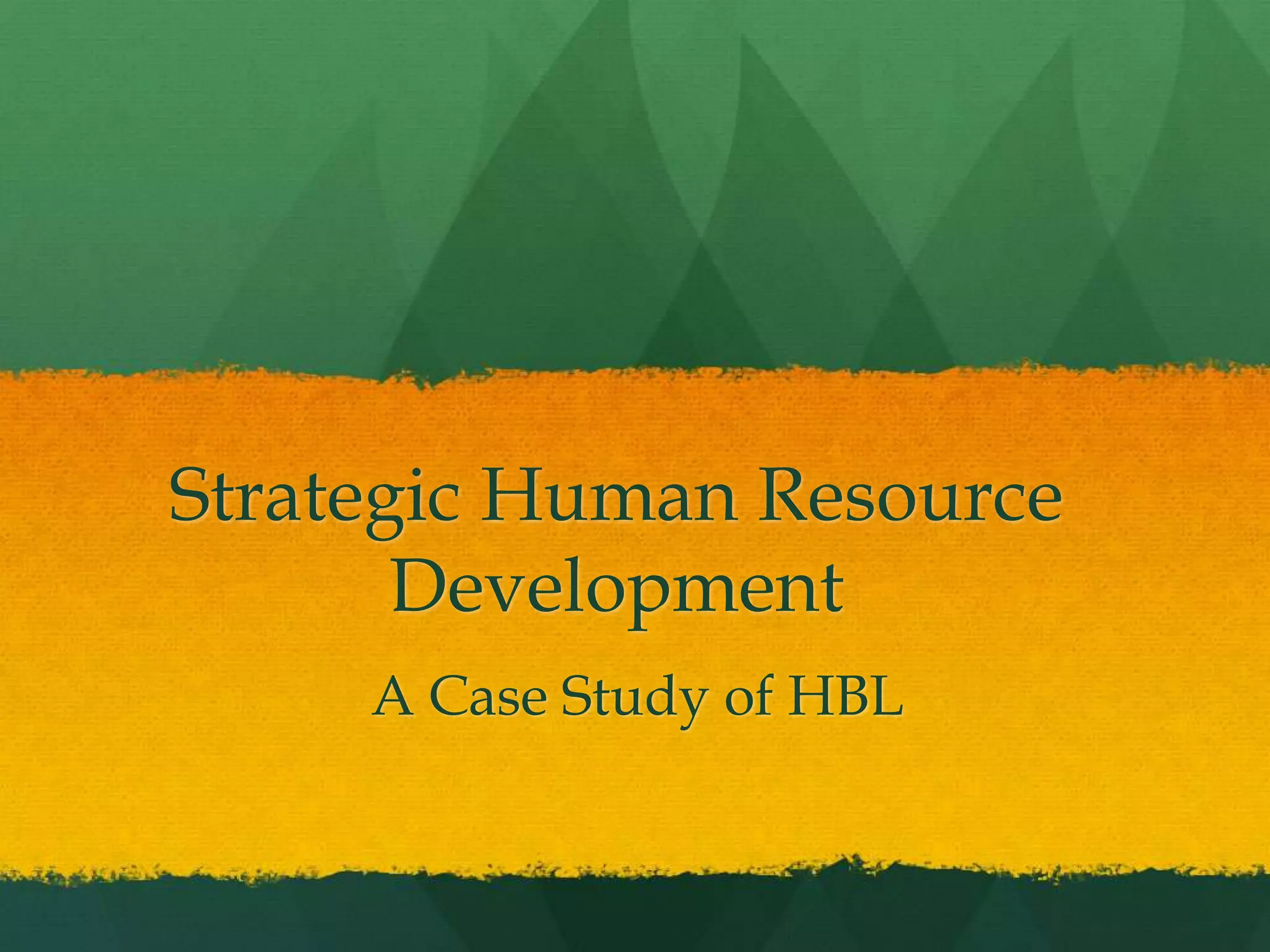 HBL Acquisition Privatization - Managing Employee Resistance HRM | PPTX