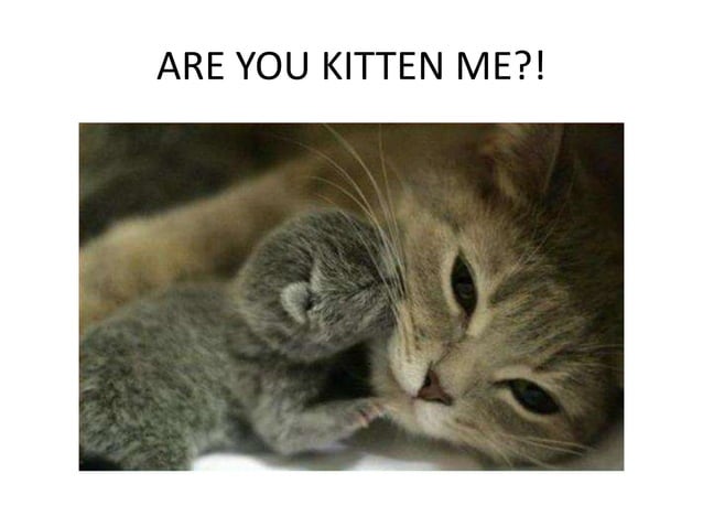 Happy Birthday Lani!!! | PPTX