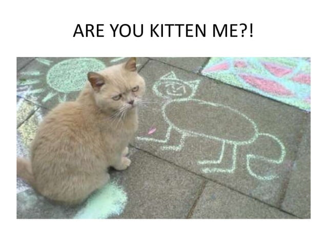 Happy Birthday Lani!!! | PPTX