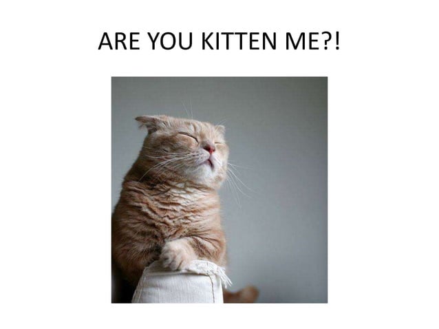 Happy Birthday Lani!!! | PPTX