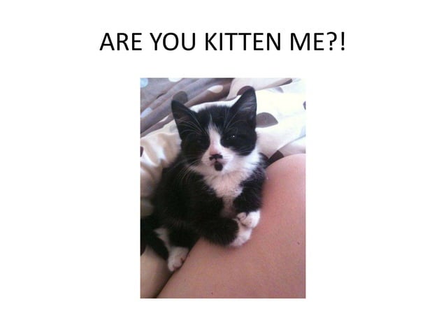 Happy Birthday Lani!!! | PPTX