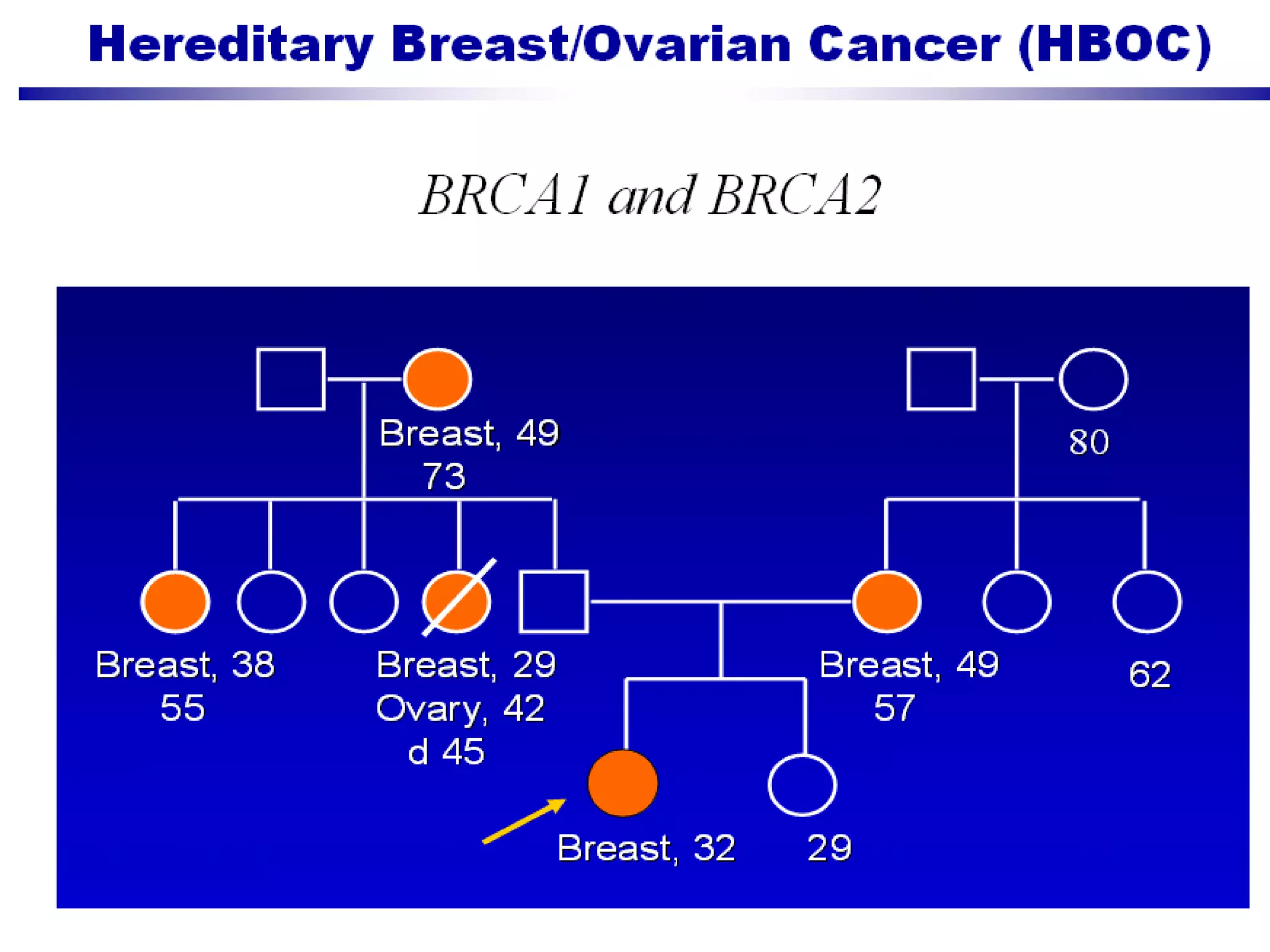 HEREDITARY BREAST and OVARY CANCER [HBOC] SYNDROME, Dr BUI DAC CHI. | PPT