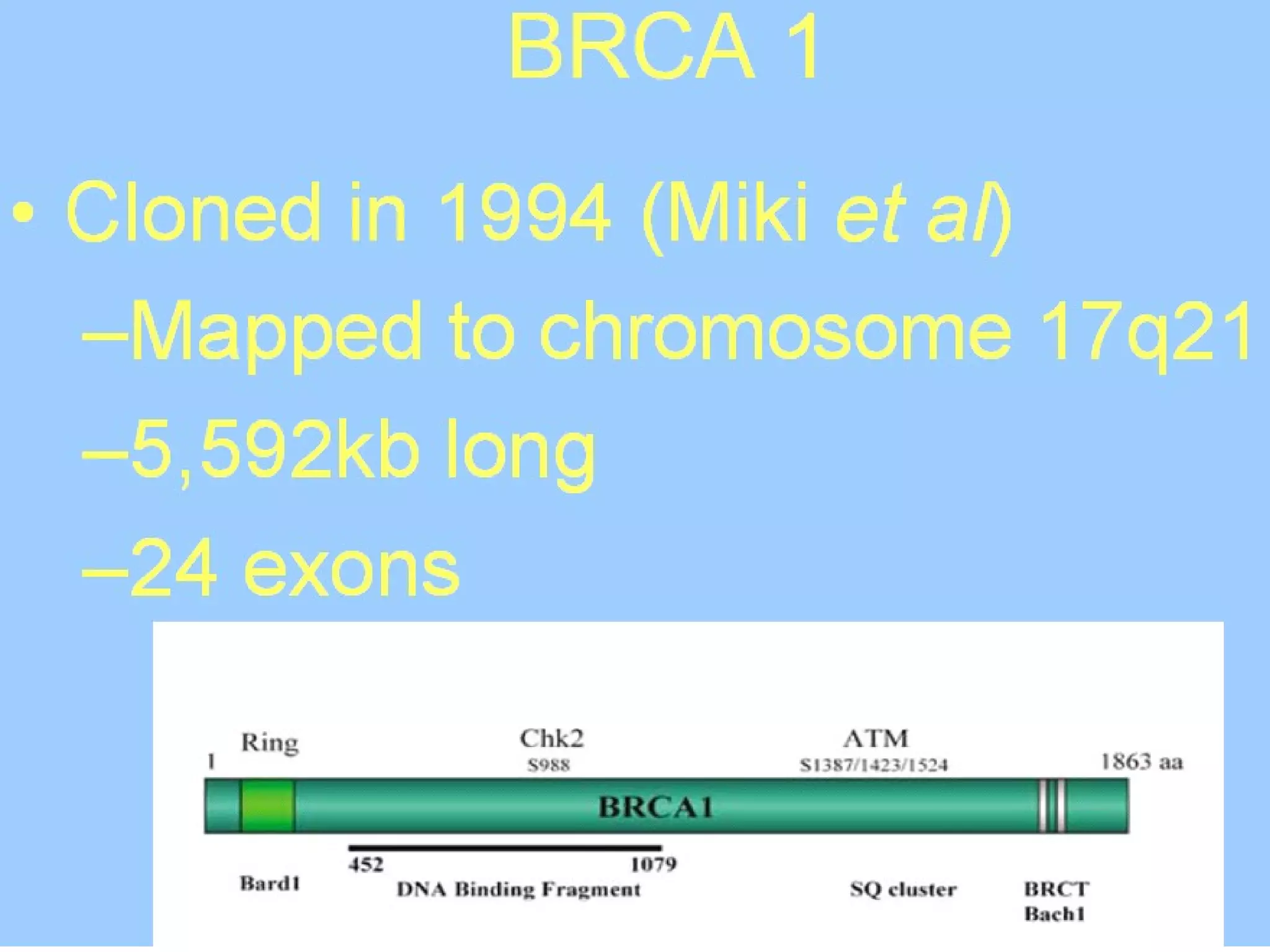 HEREDITARY BREAST and OVARY CANCER [HBOC] SYNDROME, Dr BUI DAC CHI. | PPT