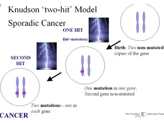 HEREDITARY BREAST and OVARY CANCER [HBOC] SYNDROME, Dr BUI DAC CHI. | PPT