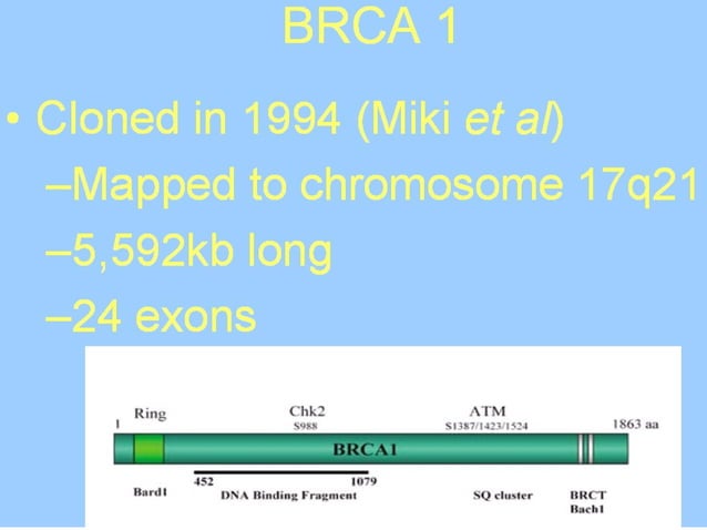 HEREDITARY BREAST and OVARY CANCER [HBOC] SYNDROME, Dr BUI DAC CHI. | PPT