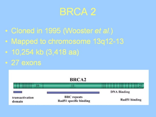 HEREDITARY BREAST and OVARY CANCER [HBOC] SYNDROME, Dr BUI DAC CHI. | PPT