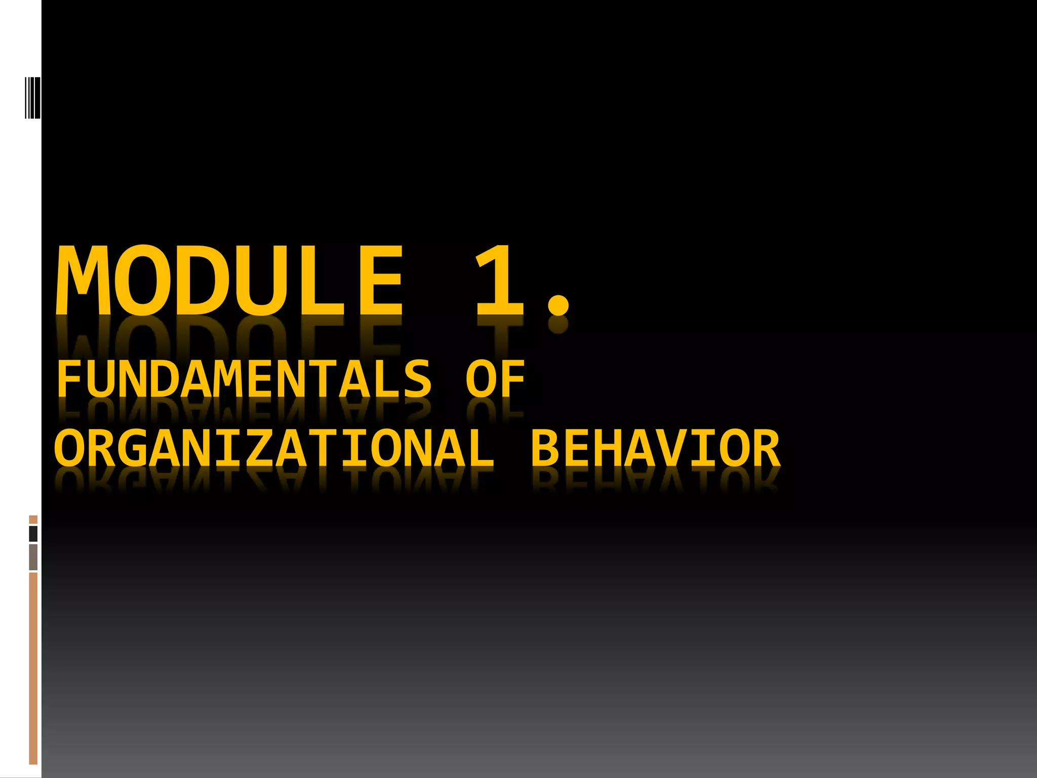 organizational behavior module 1 | PPTX