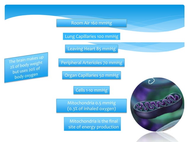 Hbot) hyperbaric oxygen therapy | PPTX | Lung and Respiratory Health ...